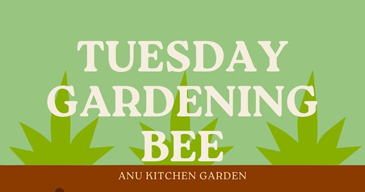 Gardening Bees - Tuesday session | Australian National University