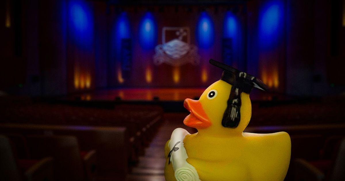 ANU alumni collect-a-duck | Australian National University