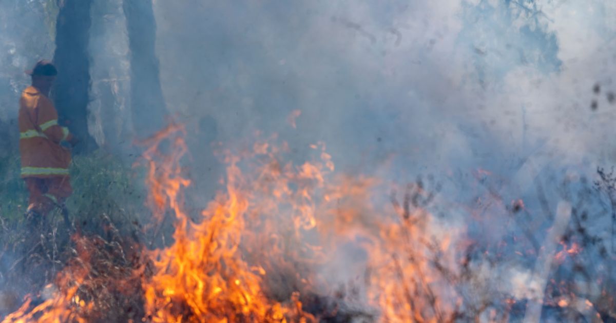 Indigenous cultural burning has protected Australia’s landscape for ...