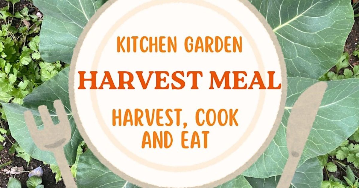 Harvest Meal: Harvest, Cook and Eat | Australian National University