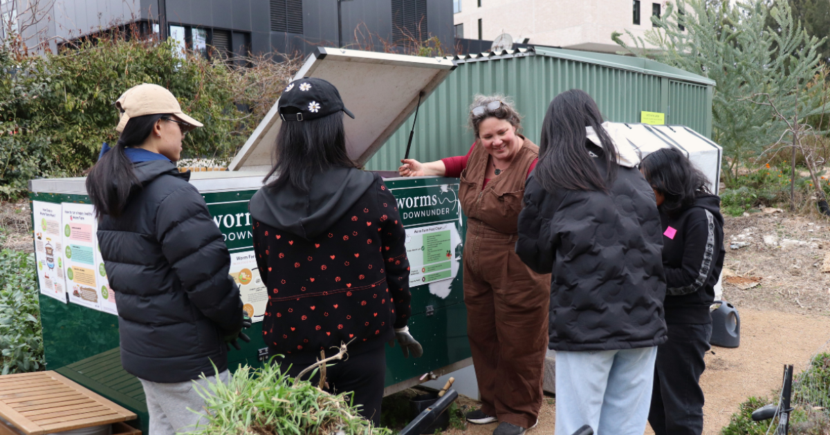Worm farming basics 101 by Kitchen Garden | Australian National University
