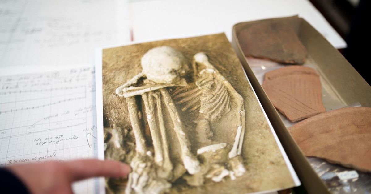 Oldest evidence of mummification uncovered by ANU experts | Australian ...