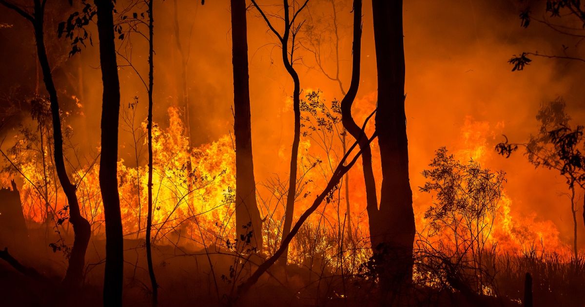 Study to look at impact of bushfires and COVID on families | Australian ...