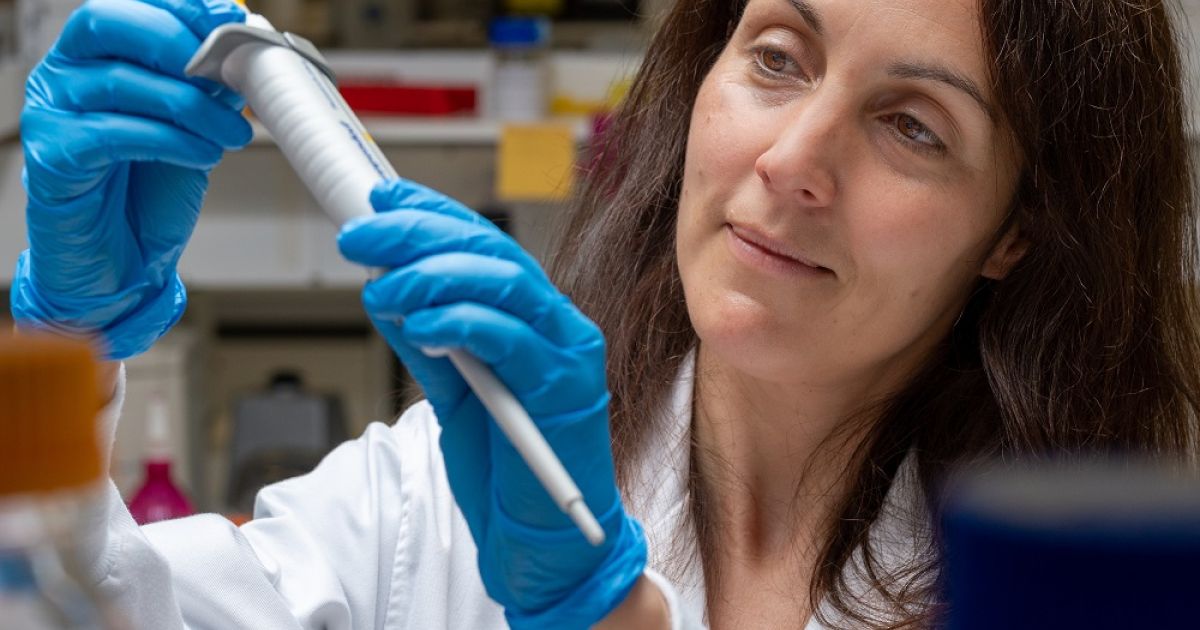 ANU researchers closer to finding new lung cancer treatments ...