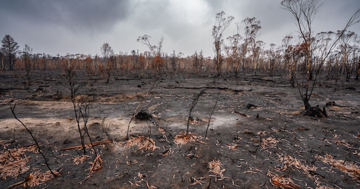 How we can better manage mental health impacts of bushfires ...