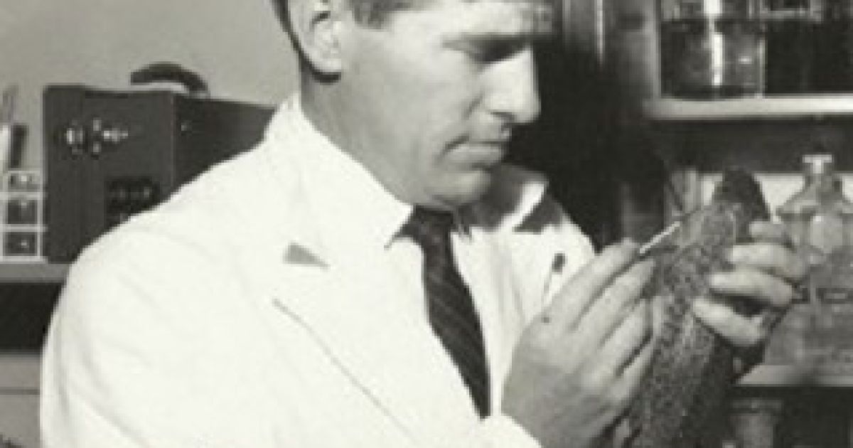 Dr Richard Barwick | Australian National University