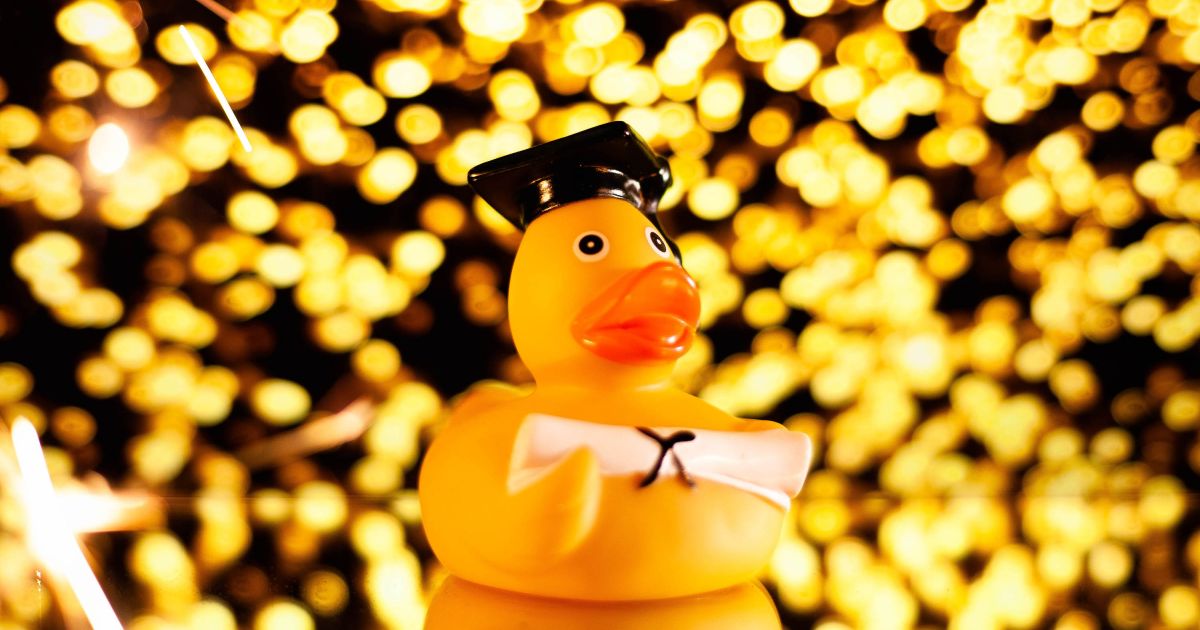 ANU alumni collect-a-duck | Australian National University