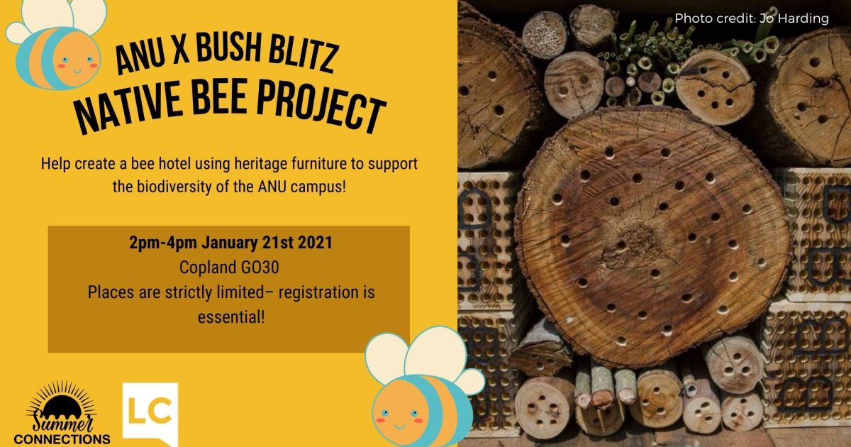 ANU x Bush Blitz Native Bee Project: Bee Hotel workshop | Australian ...