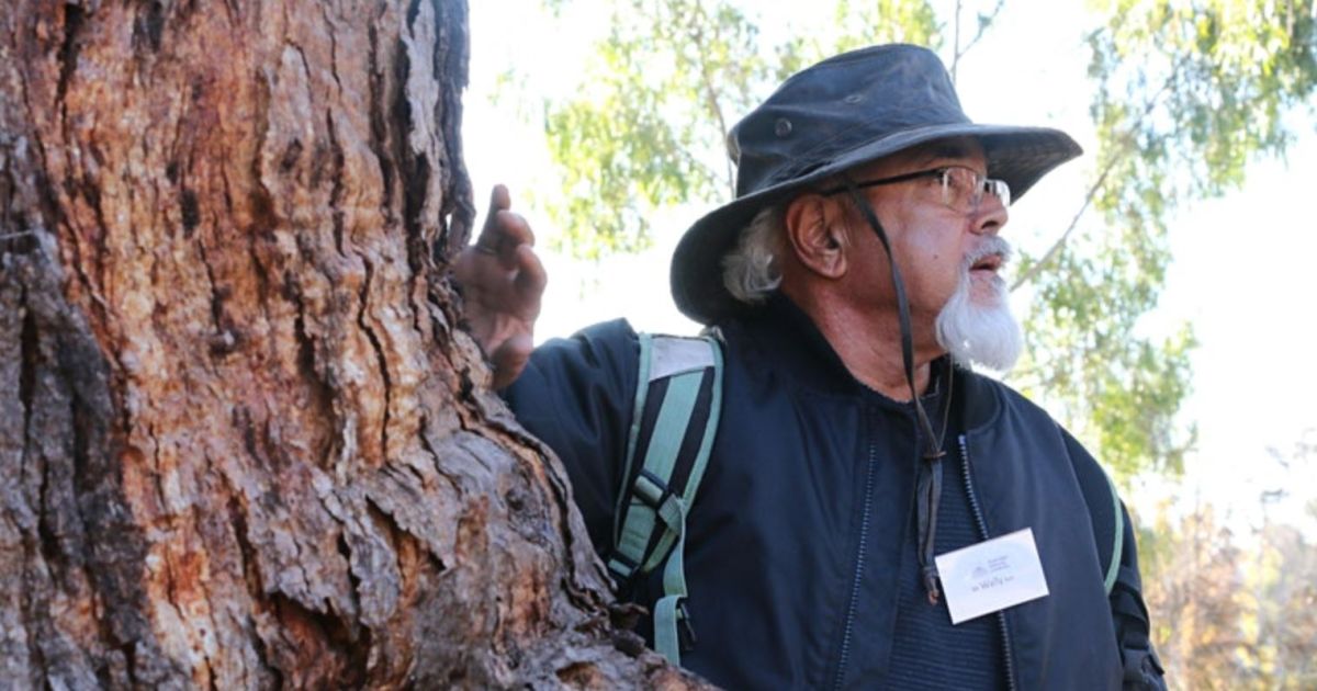 ANU Indigenous Heritage Trail - 29 May | Australian National University