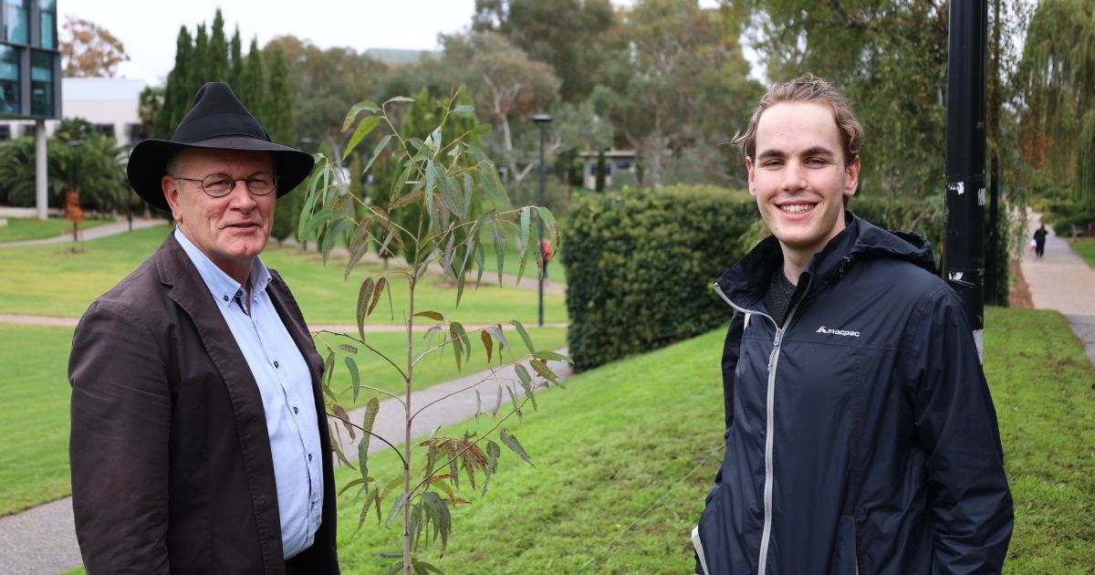 Chifley library tree planting | Australian National University