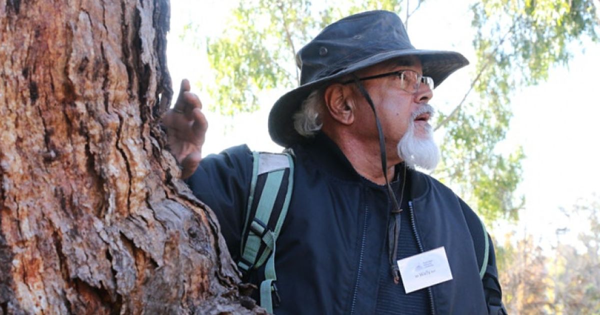 Heritage walk with Uncle Wally Bell | Australian National University